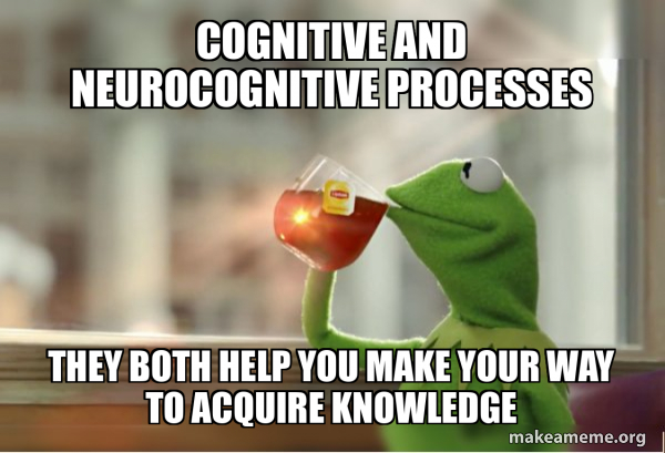 cognitive and neurocognitive processes THEY BOTH HELP YOU MAKE YOUR WAY ...