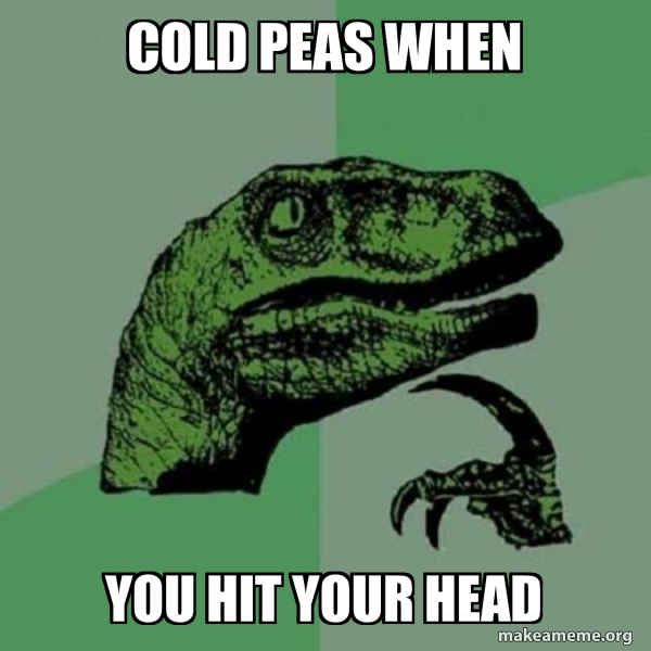 cold peas when you hit your head - Philosoraptor Meme Generator