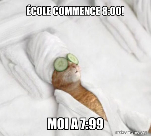 école commence 8:00! moi a 7:99 - Pampered Cat Meme Meme Generator