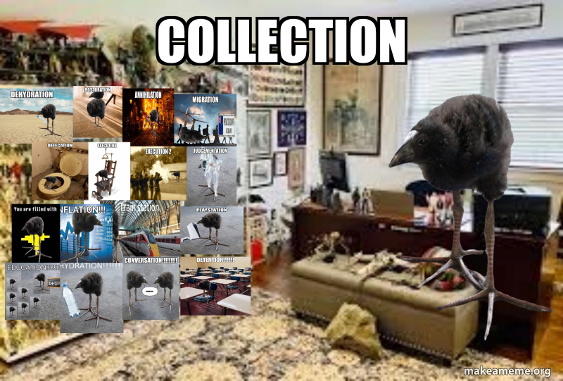 Collection Meme Generator