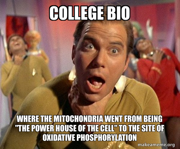 College Bio Where the mitochondria went from being "the power house of ...