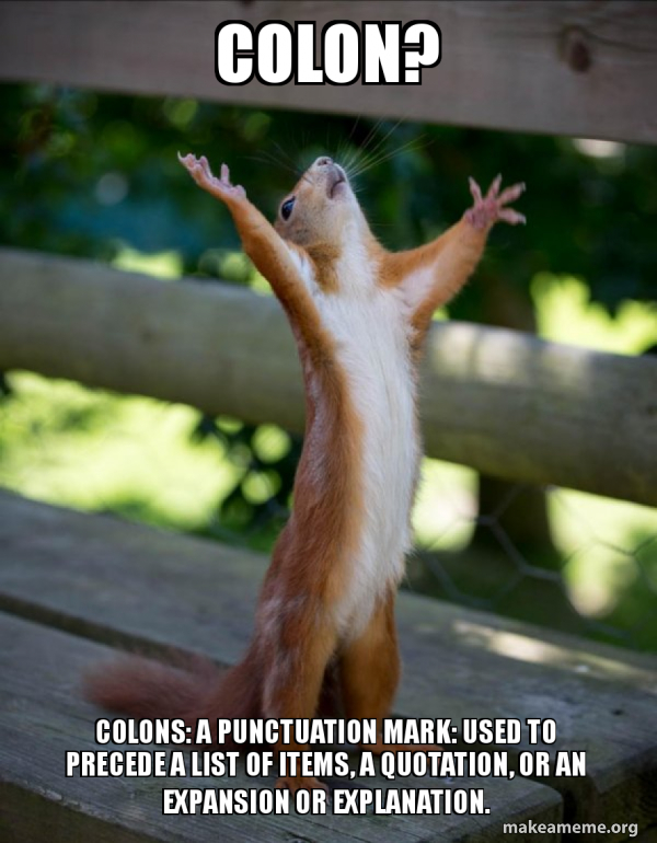 colon? colons: a punctuation mark: used to precede a list of items, a ...