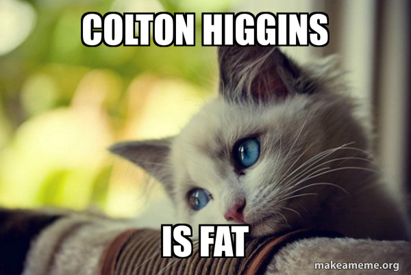 Colton higgins Is fat - First World Cat Problems Meme Generator