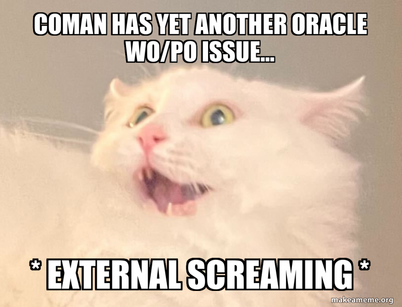 coman Has yet another oracle wo/PO issue... * external screaming * Meme Generator