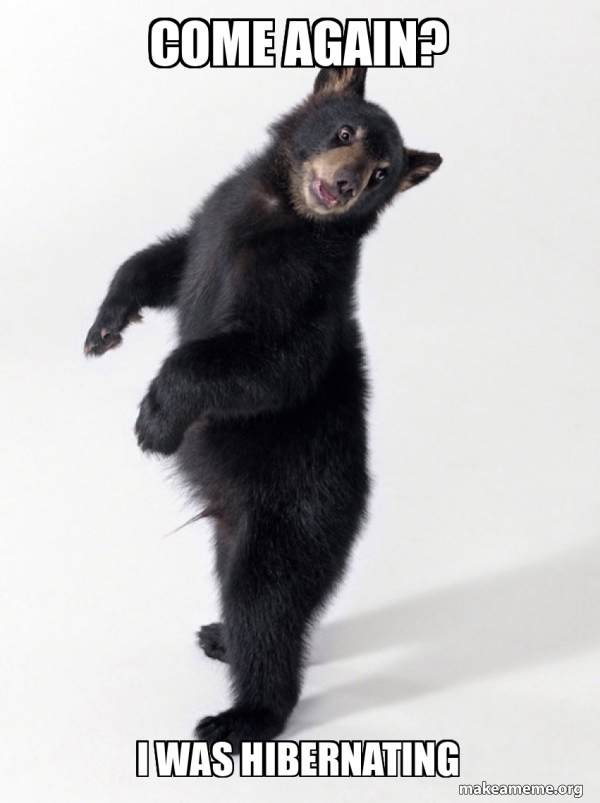 Come again? I was hibernating - Super Bear'd Meme Generator
