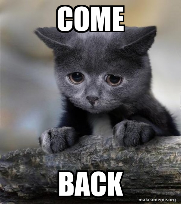 come back - Confession Cat Meme Generator