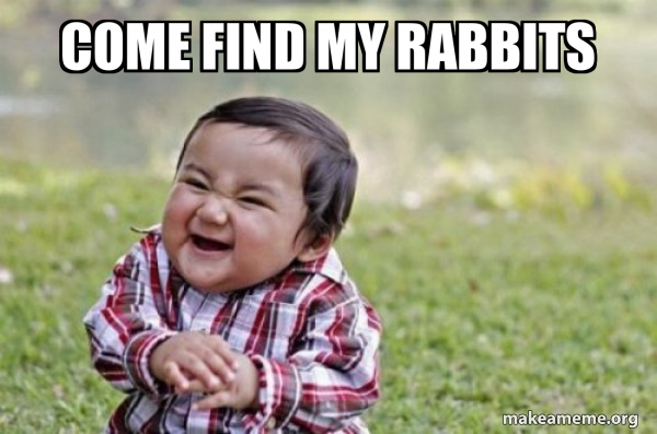 come find my rabbits - Evil, scheming toddler Meme Generator