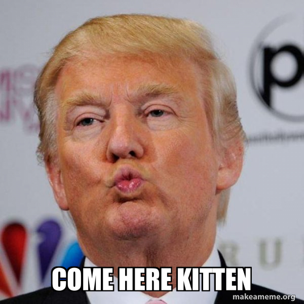 Come here kitten - Donald Trump Kissing Meme Generator