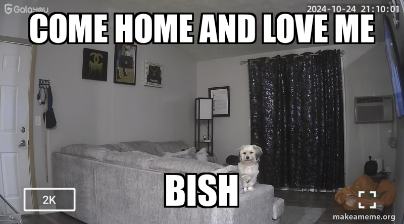 Come home and love me Bish Meme Generator