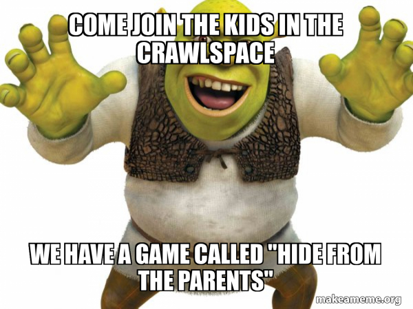 Come join the kids in the crawlspace We have a game called "Hide from ...