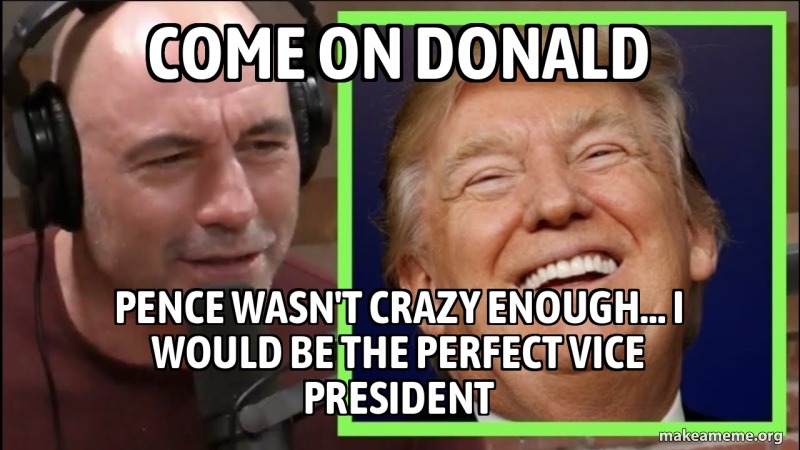 come on donald pence wasn't crazy enough... I would be the perfect vice ...