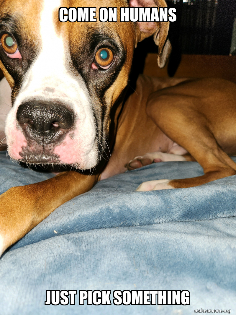 Come on humans Just pick something Meme Generator