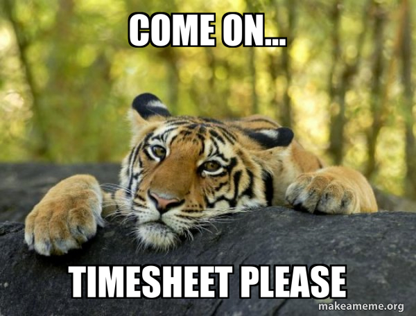 Come on... Timesheet Please - Confession Tiger Meme Generator