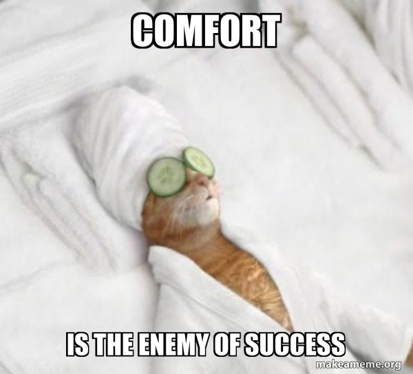 comfort is the enemy of success - Pampered Cat Meme Meme Generator