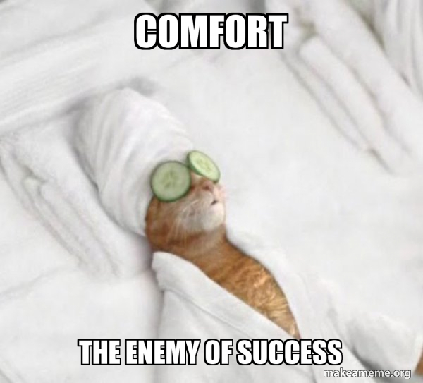 comfort the enemy of success - Pampered Cat Meme Meme Generator