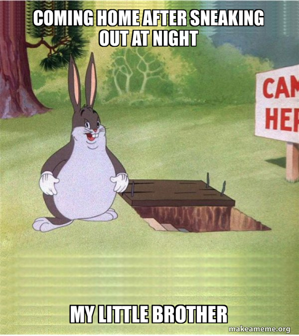 coming home after sneaking out at night my little brother - Big Chungus ...