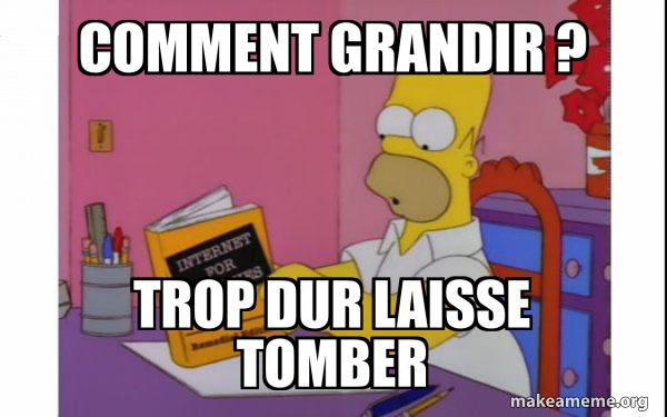 Comment grandir ? Trop dur laisse tomber - Computer Homer Meme Generator