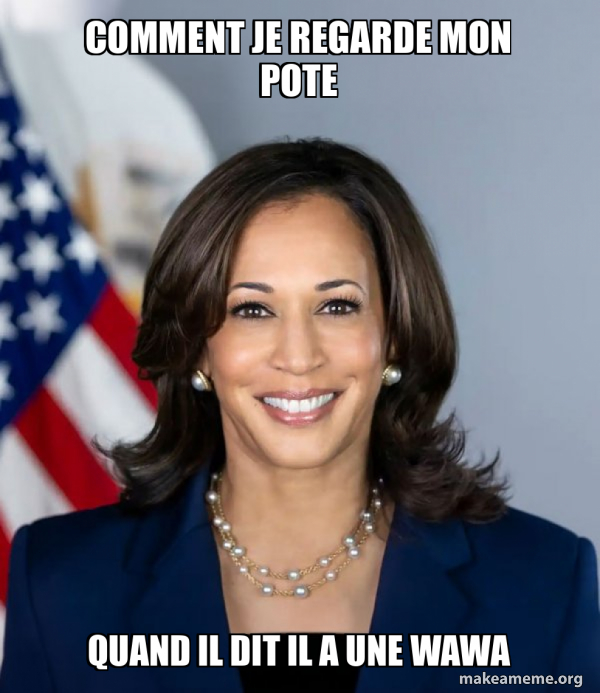 comment je regarde mon pote quand il dit il a une wawa - Kamala Harris ...