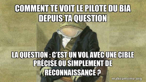 Comment te voit le pilote du BIA depuis ta question La question : c’est ...