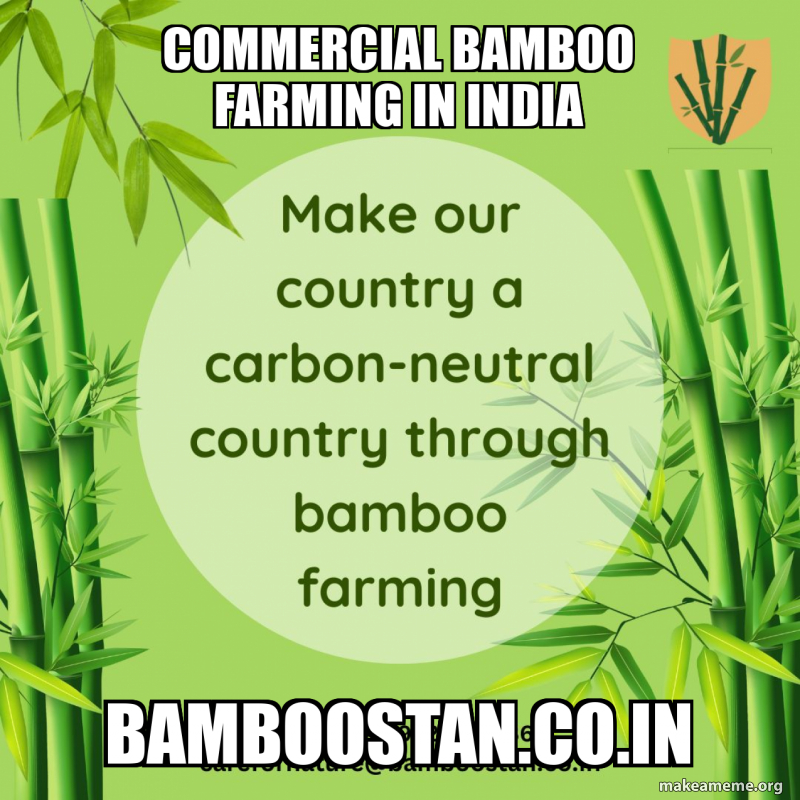 Commercial bamboo farming in India bamboostan.co.in Meme Generator