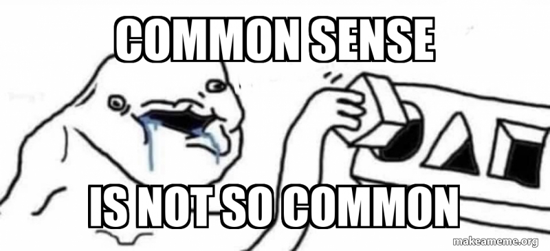 common sense is not so common Meme Generator