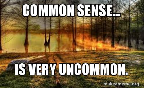 Common sense... is very uncommon. - p09iuy Meme Generator