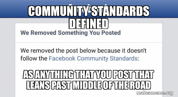 Community standards defined as anything that you post that leans past ...
