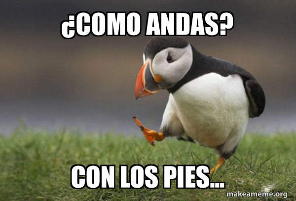 ¿Como andas? Con los pies... - Unpopular Opinion Puffin Meme Generator