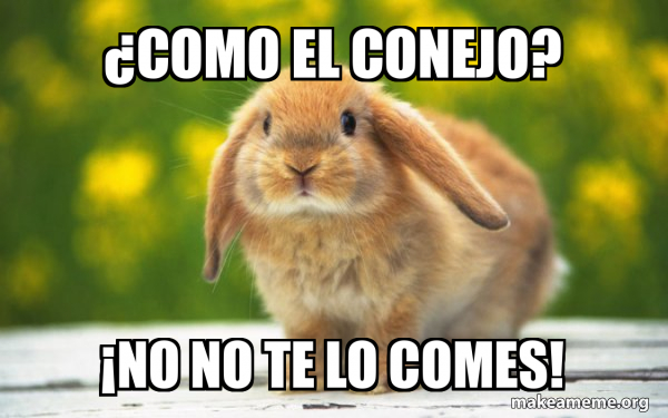 ¿Como el conejo? ¡No no te lo comes! - Regretful Rabbit Meme Generator