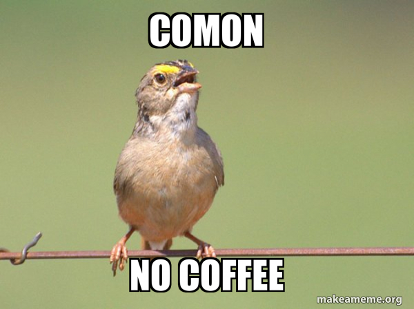 comon no coffee - Common Opinion Sparrow Meme Generator