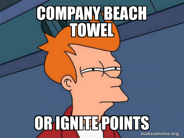Company Beach Towel or Ignite points - Futurama Fry Meme Generator
