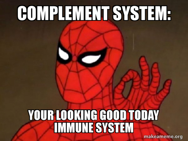 Complement System: Your looking good today immune system - Spiderman ...
