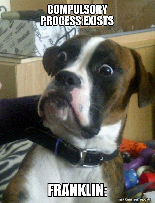 Compulsory Process:exists Franklin: - Skeptical Dog Meme Generator