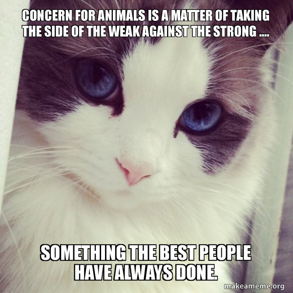 Concern for animals is a matter of taking the side of the weak against ...