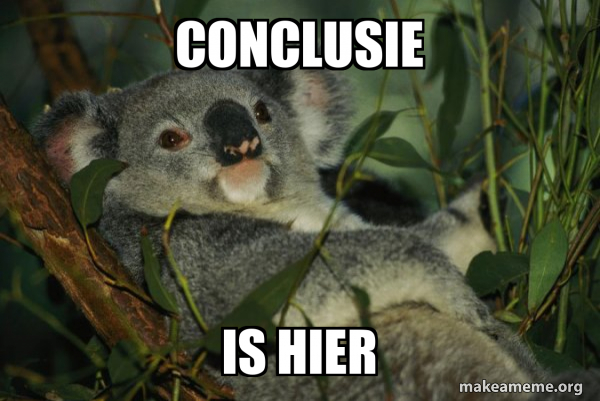 conclusie is hier - Laid Back Koala Meme Generator