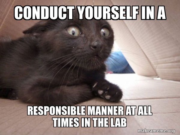 Conduct yourself in a Responsible manner at all times in the lab ...