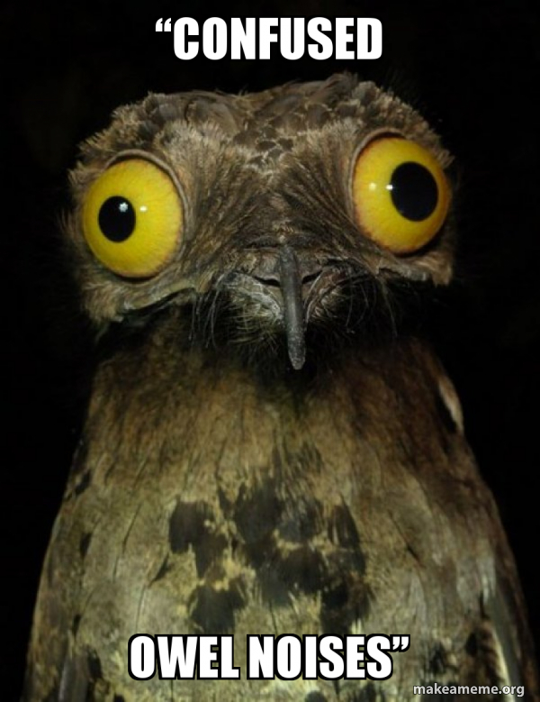 â€œConfused Owel noisesâ€ - Weird Stuff I do Potoo Meme Generator