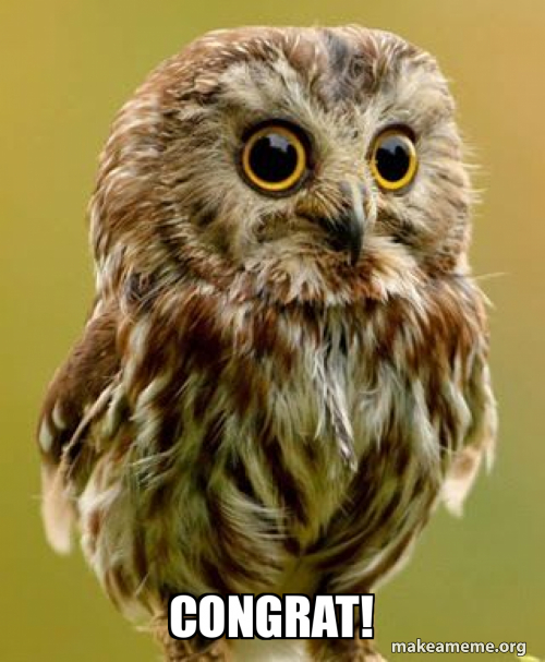 Congrat! Meme Generator