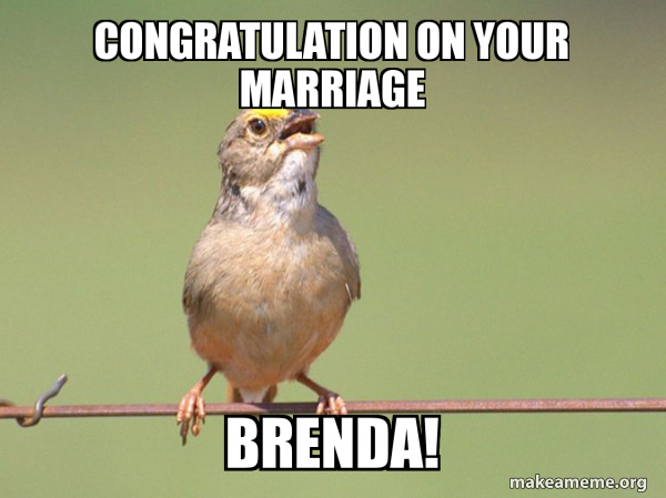 Congratulation on your Marriage Brenda! - Common Opinion Sparrow Meme ...