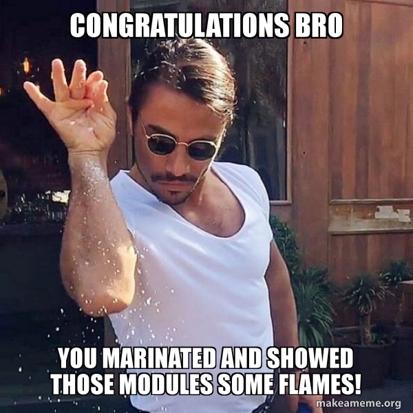 Congratulations bro You marinated and showed those modules some flames ...