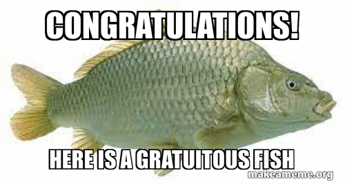 congratulations! here is a GRATUITOUS fish Meme Generator