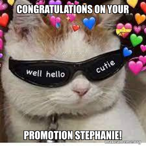 congratulations on your promotion stephanie! Meme Generator