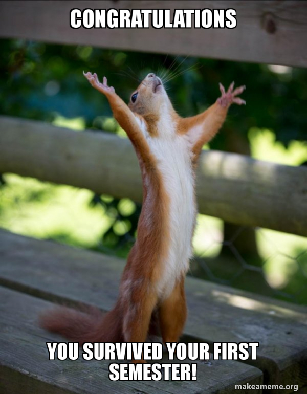 Congratulations You survived your first semester! - Happy Squirrel Meme ...