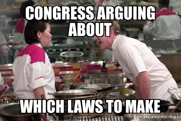 Congress arguing about Which laws to make - Gordon Ramsay Meme Generator
