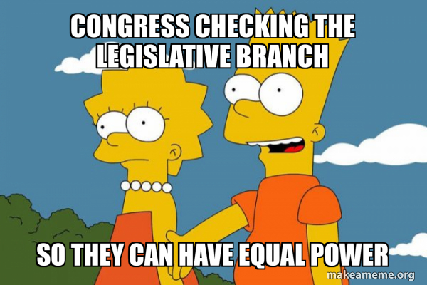 Congress checking the legislative branch So they can have equal power ...