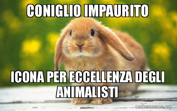 Animalisti Memes Antologia Memetica | Not