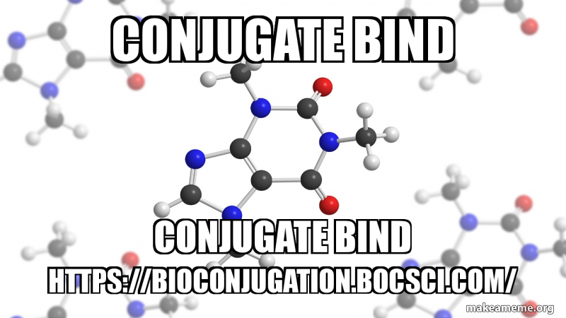 conjugate bind conjugate bind https://bioconjugation.bocsci.com ...