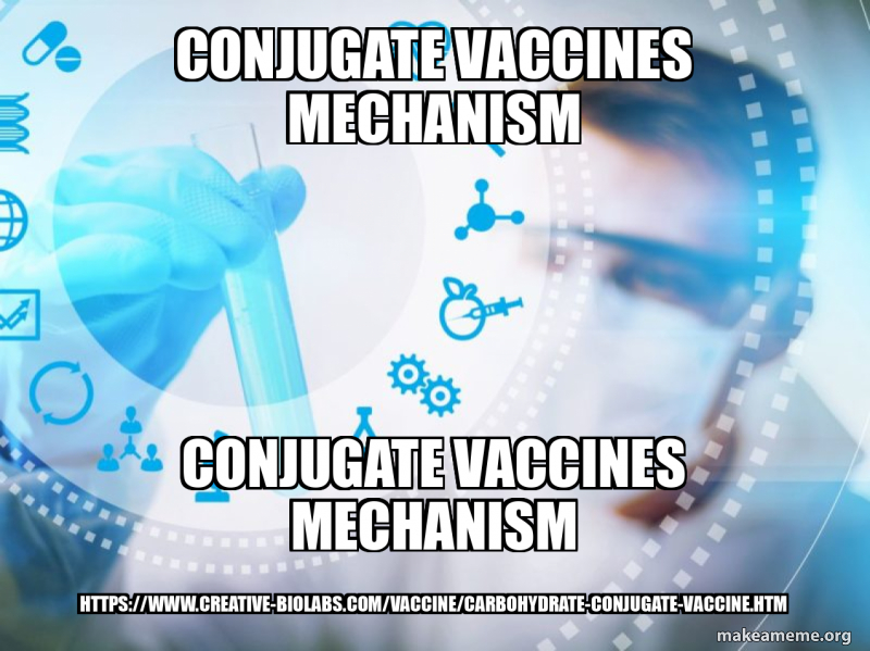 conjugate vaccines mechanism conjugate vaccines mechanism https://www ...