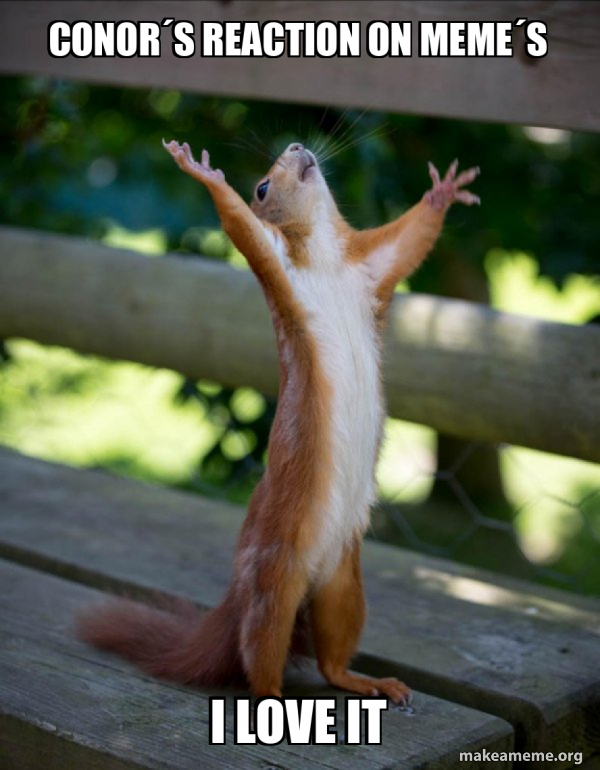 Conor´s reaction on meme´s I love it - Happy Squirrel Meme Generator