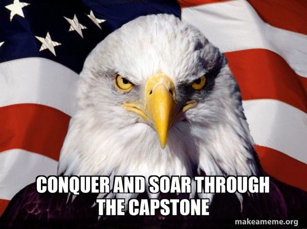 conquer and soar through the capstone - American Pride Eagle Meme Generator